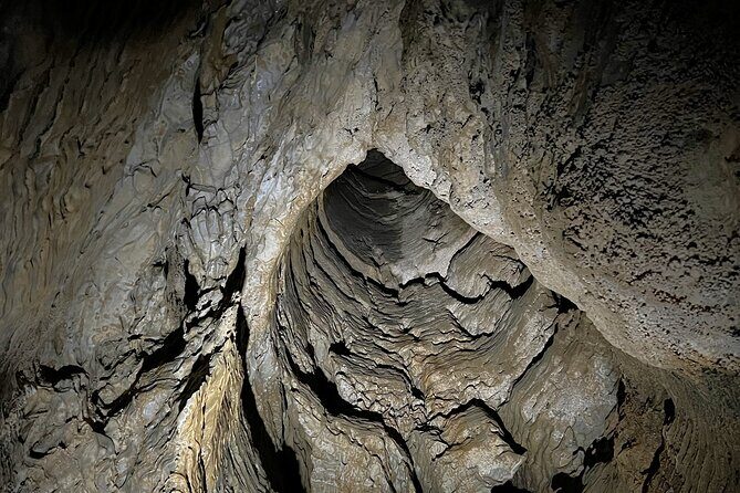 Waitomo - Twin Caves Discovery - Private Day Tour from Auckland - The Sum Up