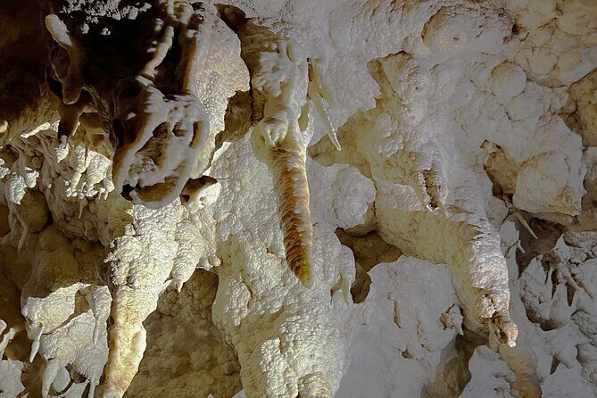 Waitomo - Twin Caves Discovery - Private Day Tour from Auckland - FAQ
