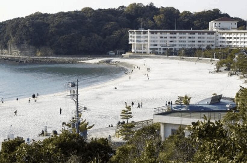 Wakayama: Customizable Private Day Tour - Key Points