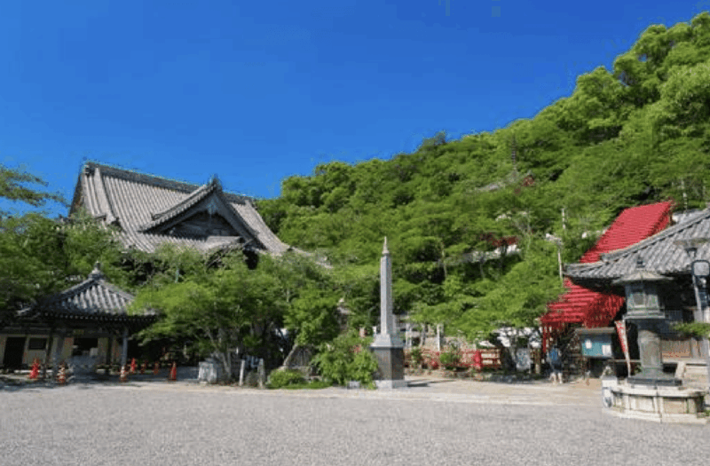 Wakayama Customized Day Tour - Key Points