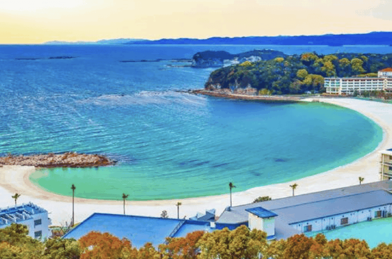 Wakayama Customized Day Tour - Visiting Wakayama Castle for Panoramic City Views