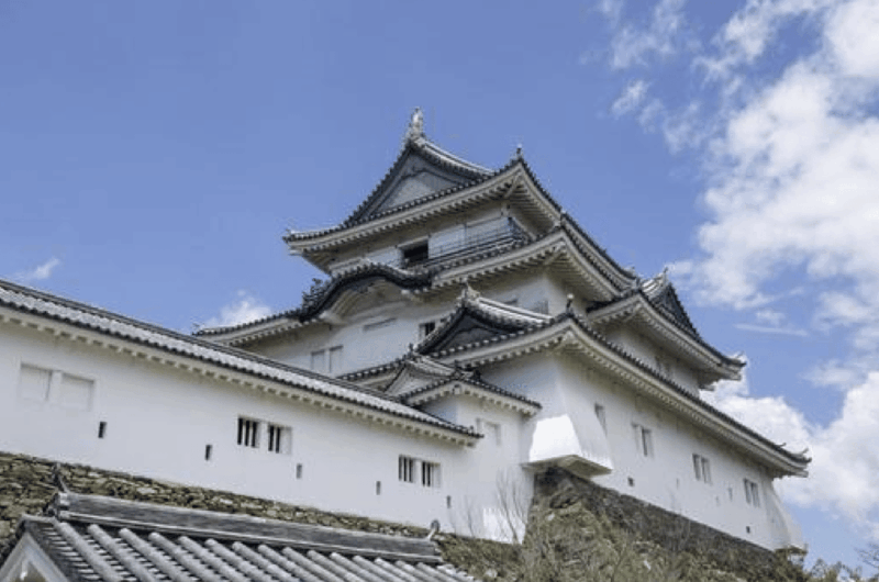 Wakayama Customized Day Tour - Taking in Kimiidera Temples Spiritual Atmosphere