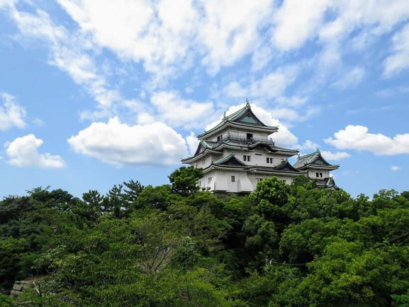 Wakayama: Historical Costume Rental and Castle Tour - A Closer Look at the Experience