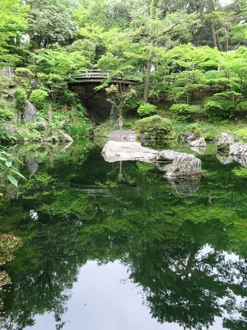 Wakayama: Local Shops and Architectures Tour - The Practical Side