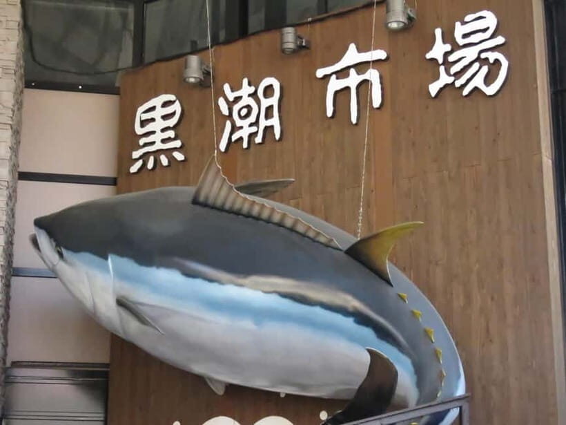 Wakayama: Marina City and Kuroe Area tour - Introduction to the Tour Experience