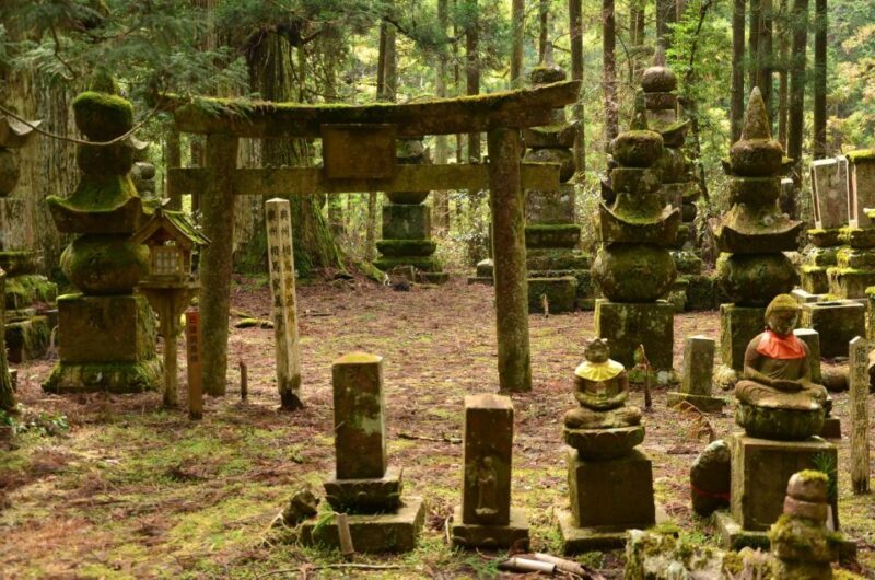 Wakayama: Mt. Koya Private Walking Tour With Local Guide - Customer Reviews and Ratings