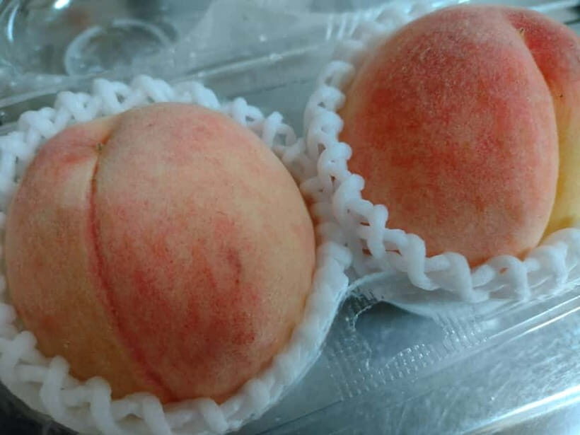 Wakayama: Private Station Food Hall Support with Guide - Authentic Flavors and Memorable Tastes