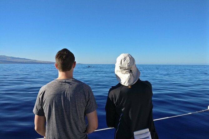 Wake up With the Whales Cruise From Anaehoomalu Bay - Value Proposition