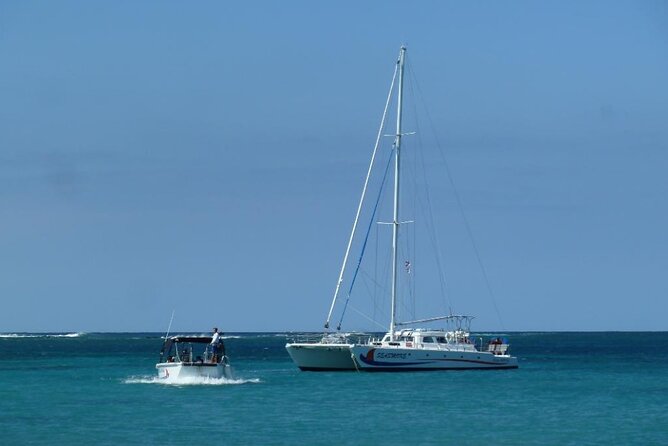 Wake up With the Whales Cruise From Anaehoomalu Bay - Whale Sightings and Guarantees