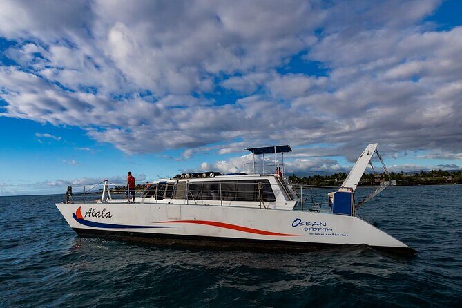 Wake up with the Whales Cruise from Kawaihae Harbor - Final Thoughts: Is It Worth It?
