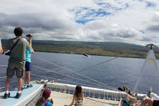 Wake up with the Whales Cruise from Kawaihae Harbor - FAQs