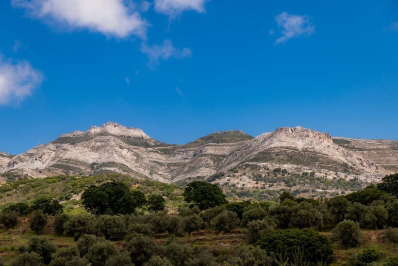 Walk among the olive trees (Small group experience) - Why You’ll Love the “Walk among the Olive Trees” Tour