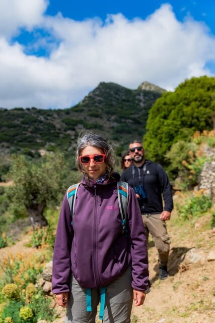 Walk among the olive trees (Small group experience) - Practical Details and Tips for Your Tour Experience