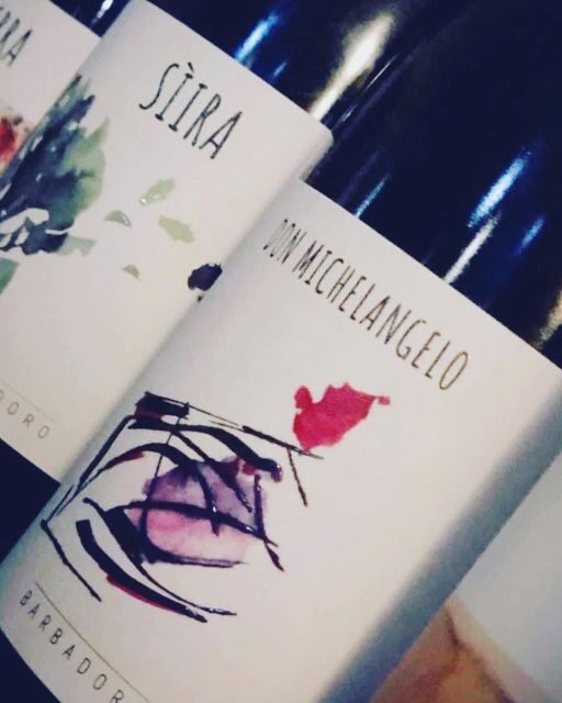 Walk among the rows of vineyards and wine tasting - An authentic taste of Sicily’s vineyards and wines