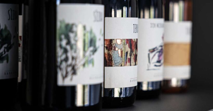 Walk among the rows of vineyards and wine tasting - The Itinerary in Detail