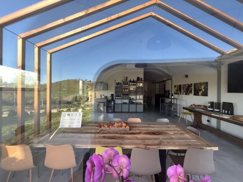 Walk among the rows of vineyards and wine tasting - Final Thoughts