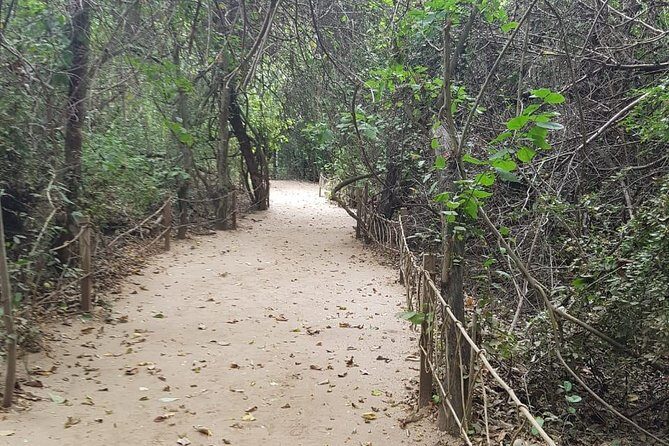 Walk And Snorkel In The National Park HT - The Sum Up: Who Is This Tour Best For?