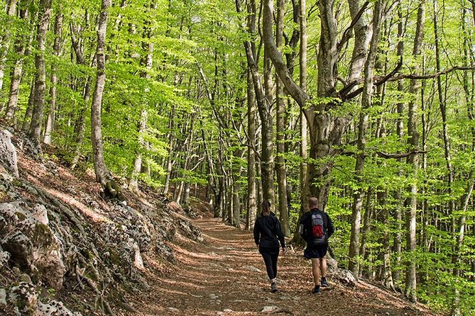 Walk around Faito Mountain, the Highest Point of the Amalfi Coast and Sorrento Peninsula - FAQ