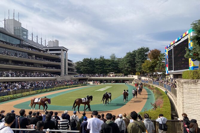 Walk Around Okunitama Shrine Private Tour in Tokyo - Inclusions