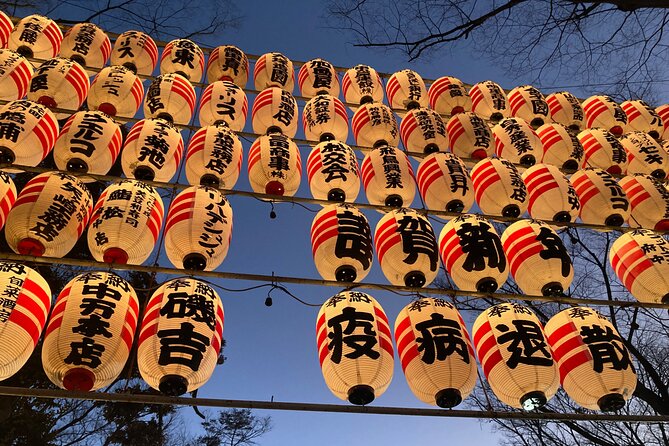 Walk Around Okunitama Shrine Private Tour in Tokyo - Accessibility and Participation