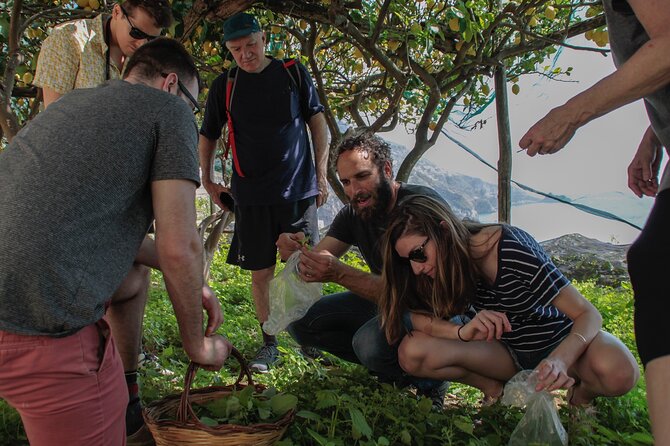Walk, Cook and Eat on the Amalfi Coast - Amalfi Coast Scenery and Atmosphere