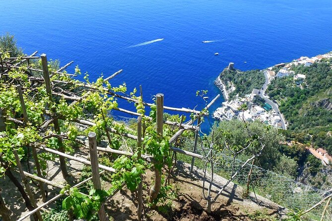 Walk, Cook and Eat on the Amalfi Coast - Inclusions and Exclusions