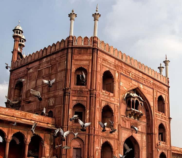 Walk & Explore Old Delhi: Guided Tour by Foot with a Local - Practical Details and Tips