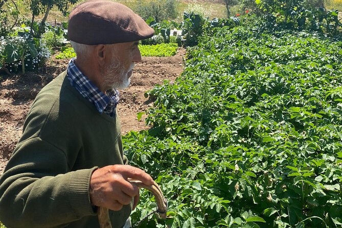 Walk in the Hills with Goat Herder-Local Honey, Wine and Cheese Tasting - Who Should Consider This Tour?