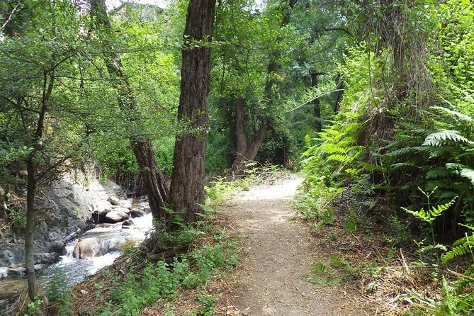 Walk on Artemis trail and in Old Kakopetria - Discovering Kakopetria: Village Charm and Local Life