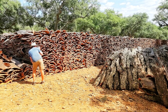 Walk on the Alentejo Cork Forest With Optional Lunch - Location and Accessibility