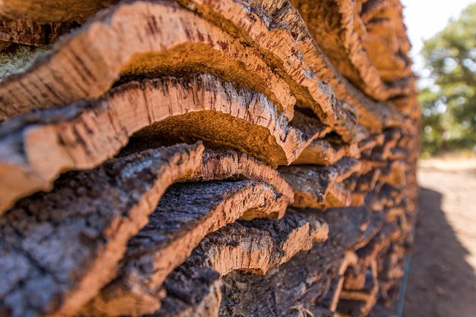 Walk on the Alentejo Cork Forest With Optional Lunch - Cork Harvesting and Local Production
