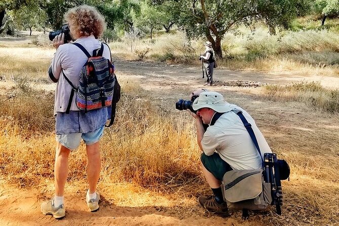 Walk on the Alentejo Cork Forest With Optional Lunch - Culinary Offerings