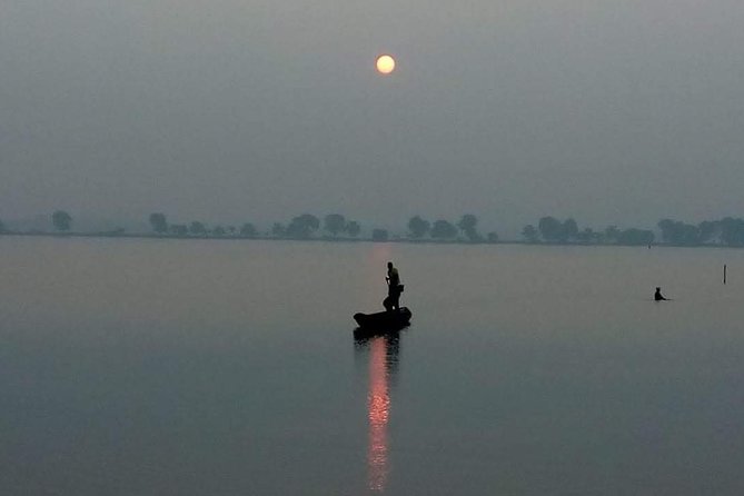 Walk the Kolkata Wetlands: Green Eye Candy - Who Should Consider This Tour?