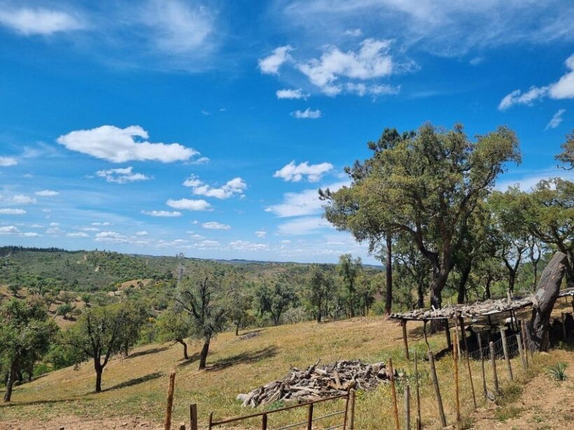 Walk through Hills With a Local Goat Herder and Their Goats - Walk through Hills With a Local Goat Herder and Their Goats: An Authentic Algarve Experience