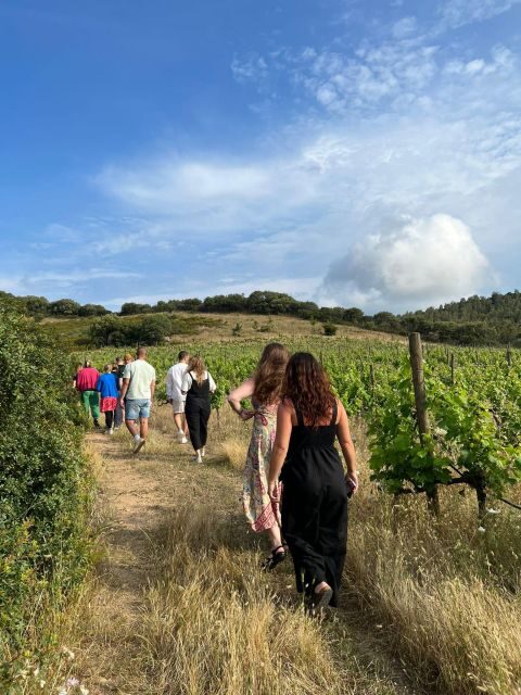 Walk through our vineyard and aperitif - What is this vineyard and aperitif tour all about?