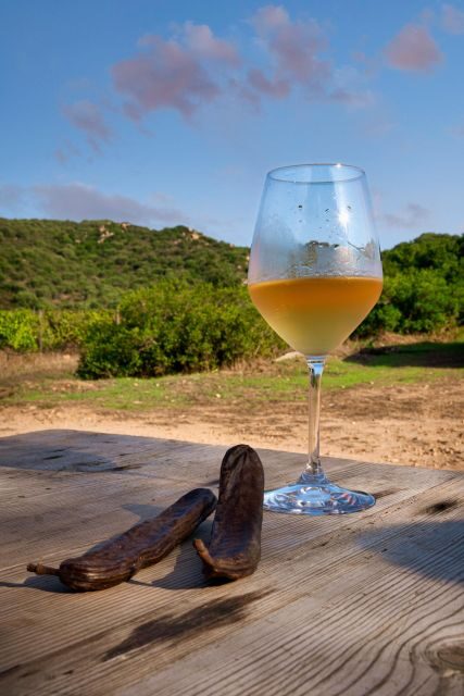 Walk through our vineyard and aperitif - The setting and atmosphere
