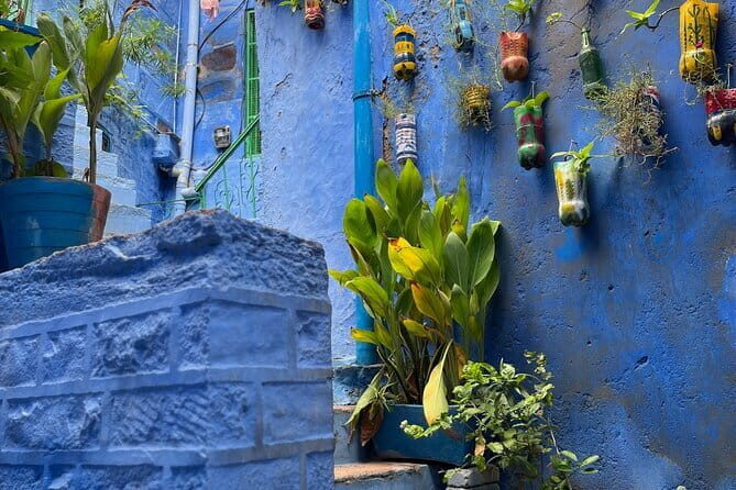Walk To bluecity tour with guide - Discovering Jodhpur’s Highlights: In-depth Review