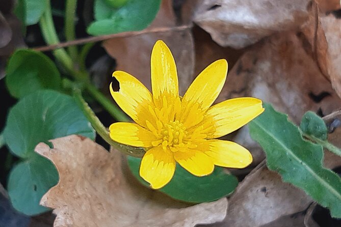 Walk to recent and aged spiritual sanctuaries near Budapest - A Deep Dive Into the Tour Experience