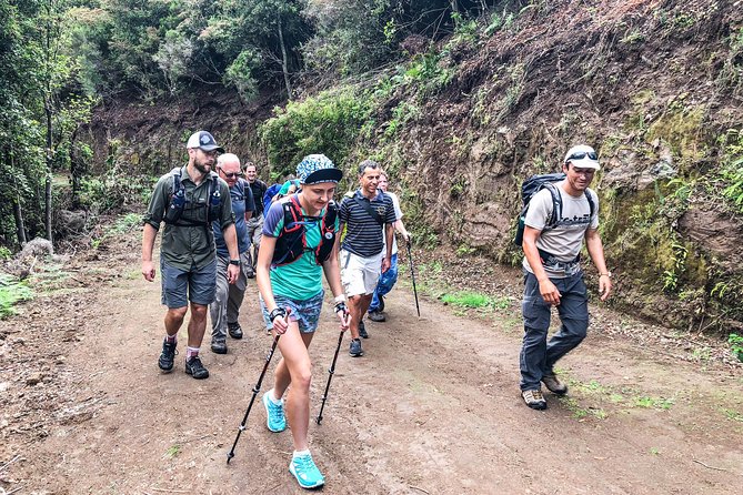 Walk With a Local - Tour Details and Requirements