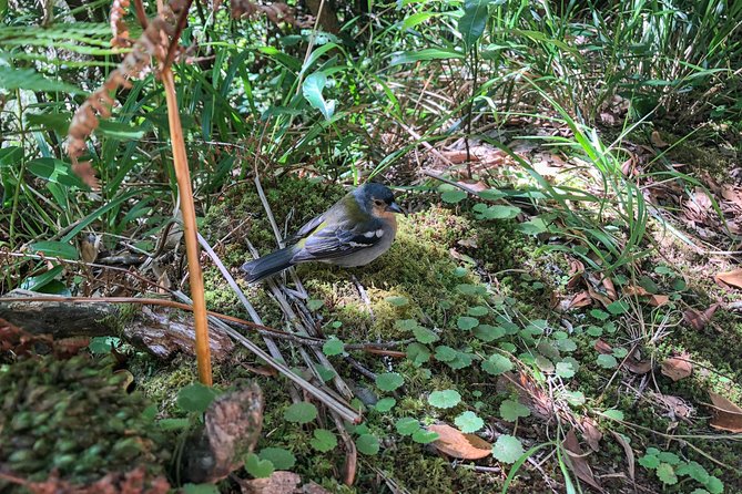 Walk With a Local - Hiking Experience and Locations