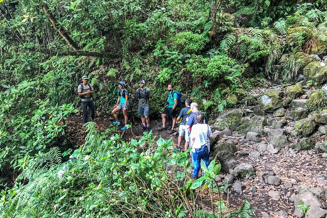 Walk With a Local - Why Choose This Experience