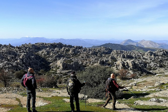 Walking Among Ammonites, El Torcal De Antequera - Reviews and Traveler Feedback