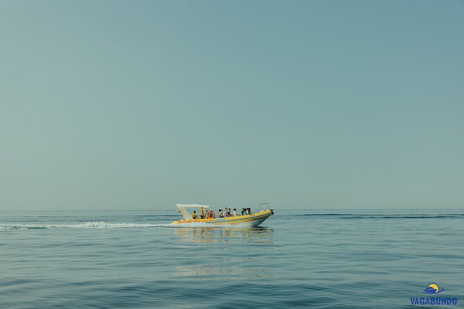 Walking & boat tour - visit Ston Walls and taste shells on farm - The Practicalities and Value