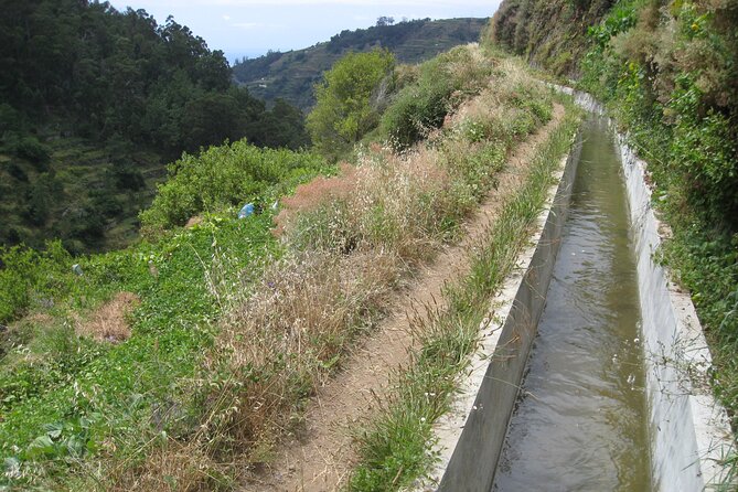 Walking Experience in the Serra D'Água Valley - Who Should Consider This Tour?