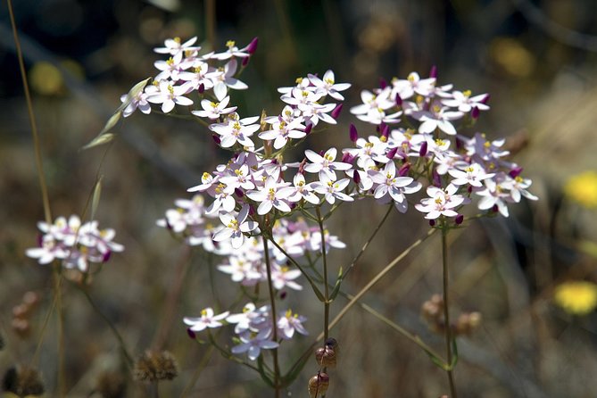 Walking in Tavira: The Venice Of Algarve - The Sum Up