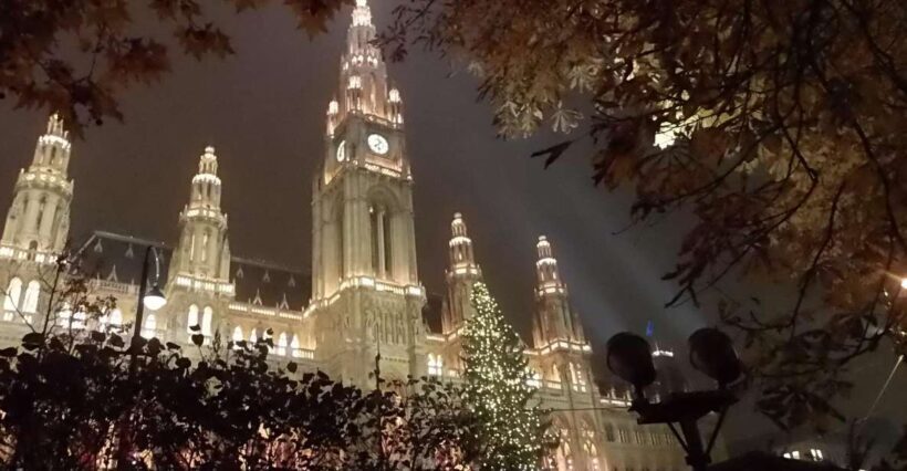 Walking on the historical trail of Viennese Christmas Trees - Authentic Traveler Perspectives