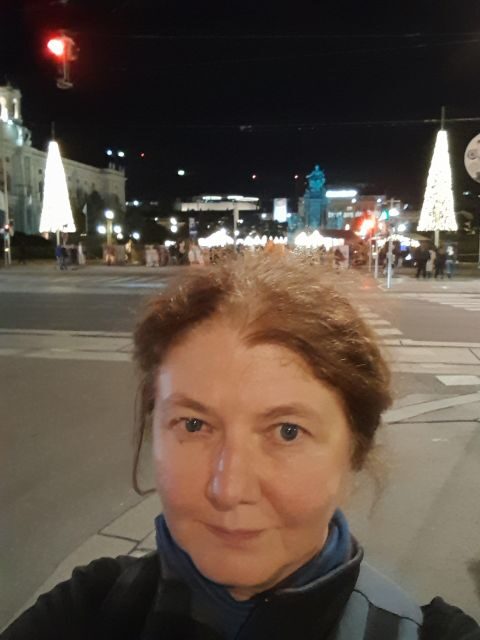 Walking on the historical trail of Viennese Christmas Trees - FAQs
