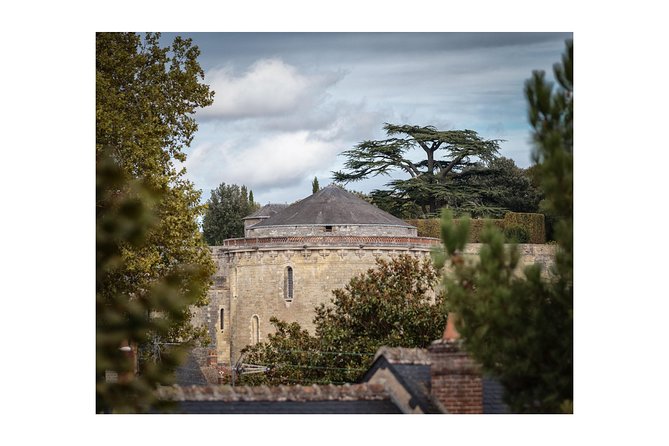 Walking Photography Tour of Amboise conducted in English - Authentic Experiences: What Past Participants Say