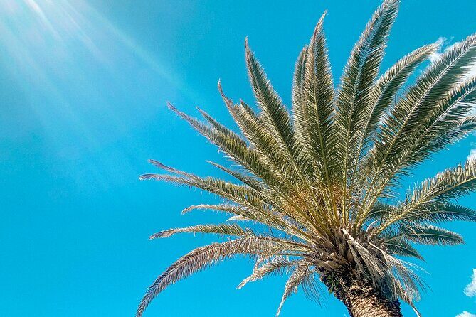Walking Photography Tours of Mooloolaba and Alexandra Headland - Who Should Consider This Tour?