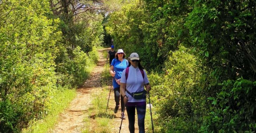 Walking Through Ancient Konavle Villages with a Tasty Finish - An Authentic Introduction to Konavle